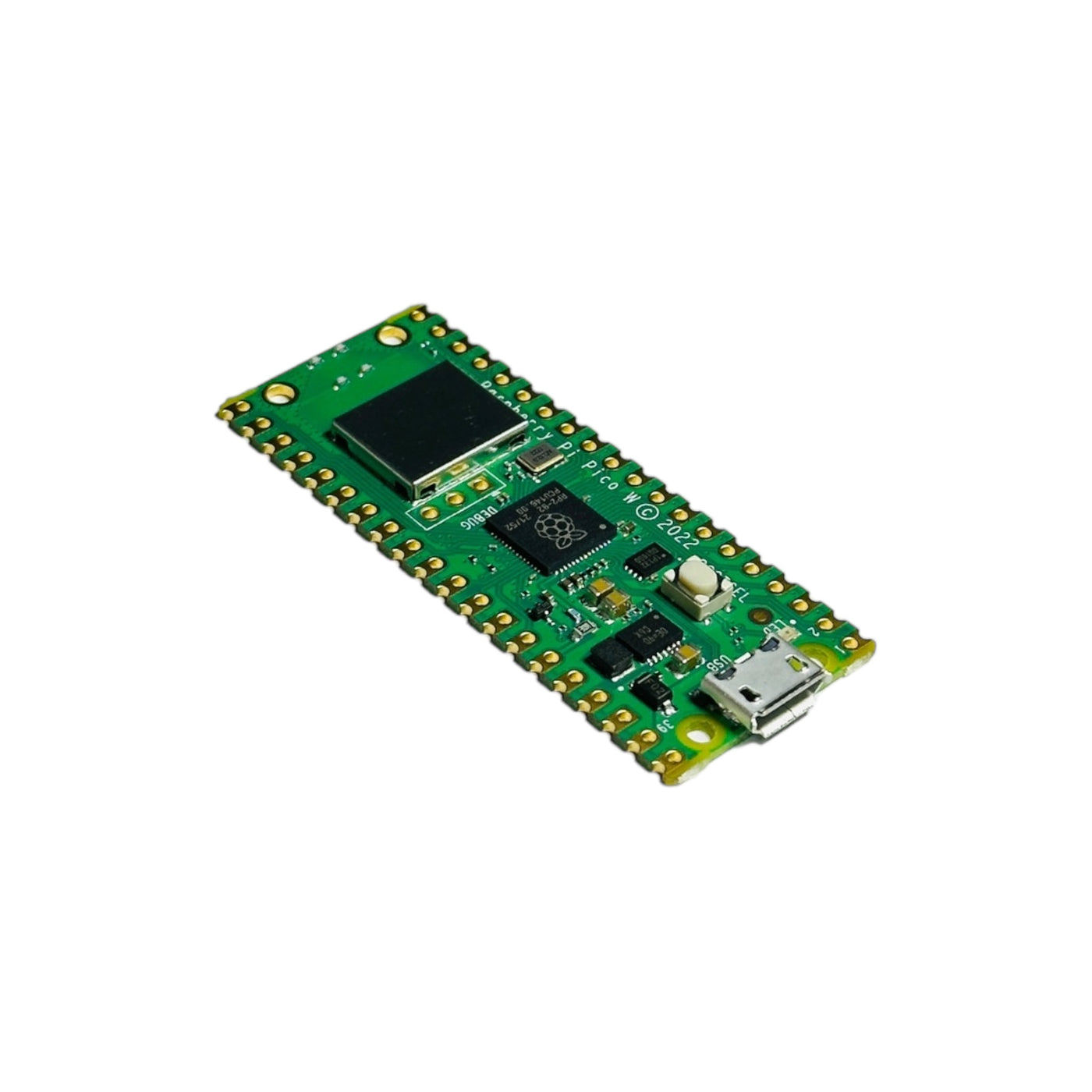 Raspberry Pi Pico W — Talos Electronics