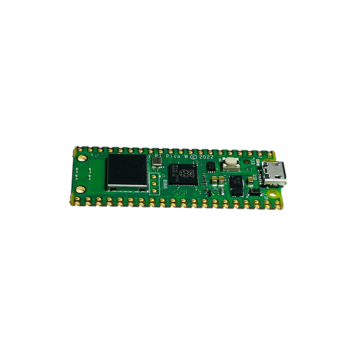 Raspberry Pi Pico W — Talos Electronics